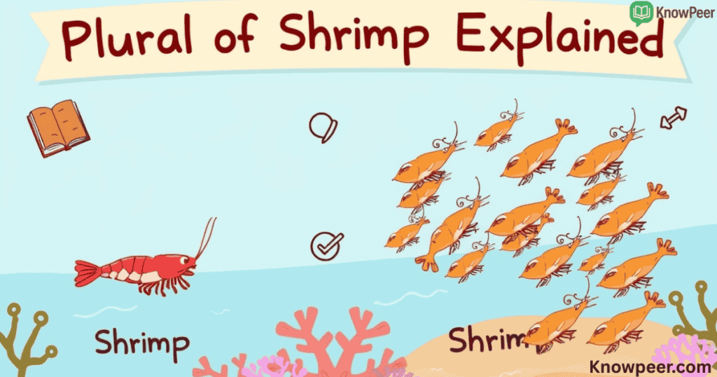 150 Examples of the Plural of Computer Mouse Explained - KnowPeer